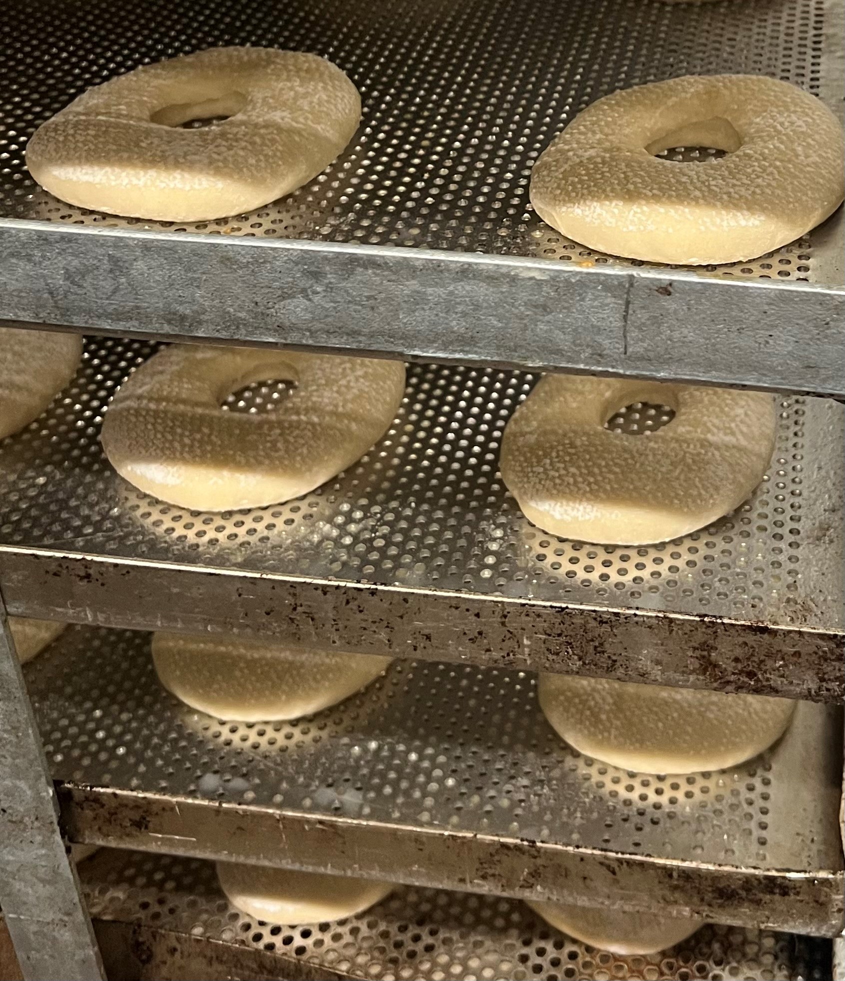 Donuts proving at Wenzel’s | EPP Ltd